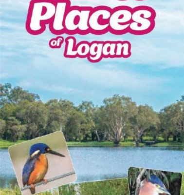 Bird watching brochure launched - MyCity Logan