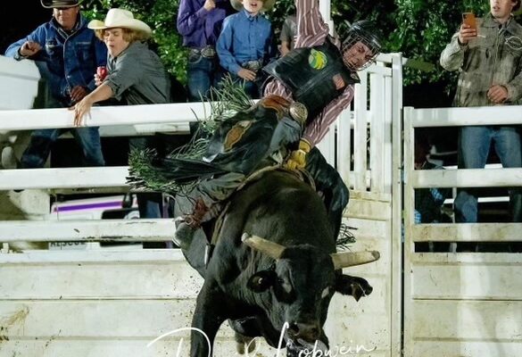 First look: Beenleigh Show returns in 2022 - MyCity Logan