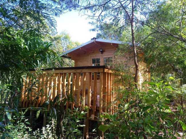 Peacing out in a food forest - MyCity Logan