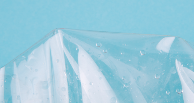 Solutioneers find a green edge - MyCity Logan