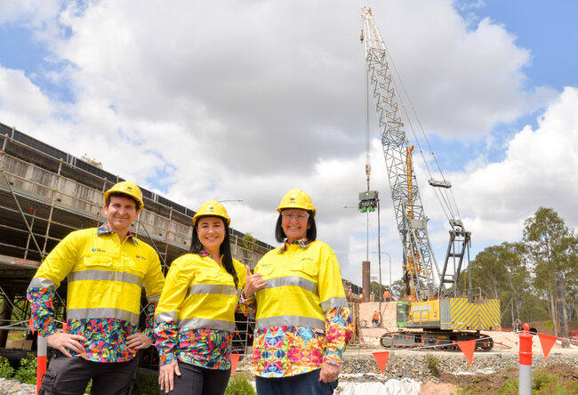 Ray Hodgson bridge widening - MyCity Logan
