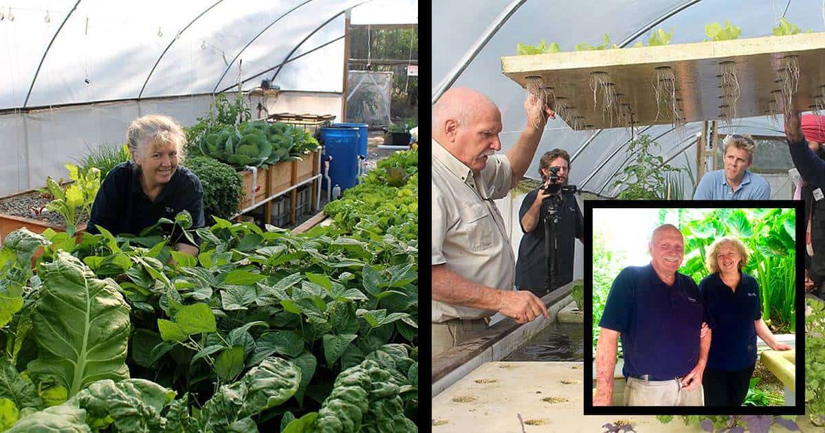 ‘Shoe box’ family business internationally renowned for aquaponics ...