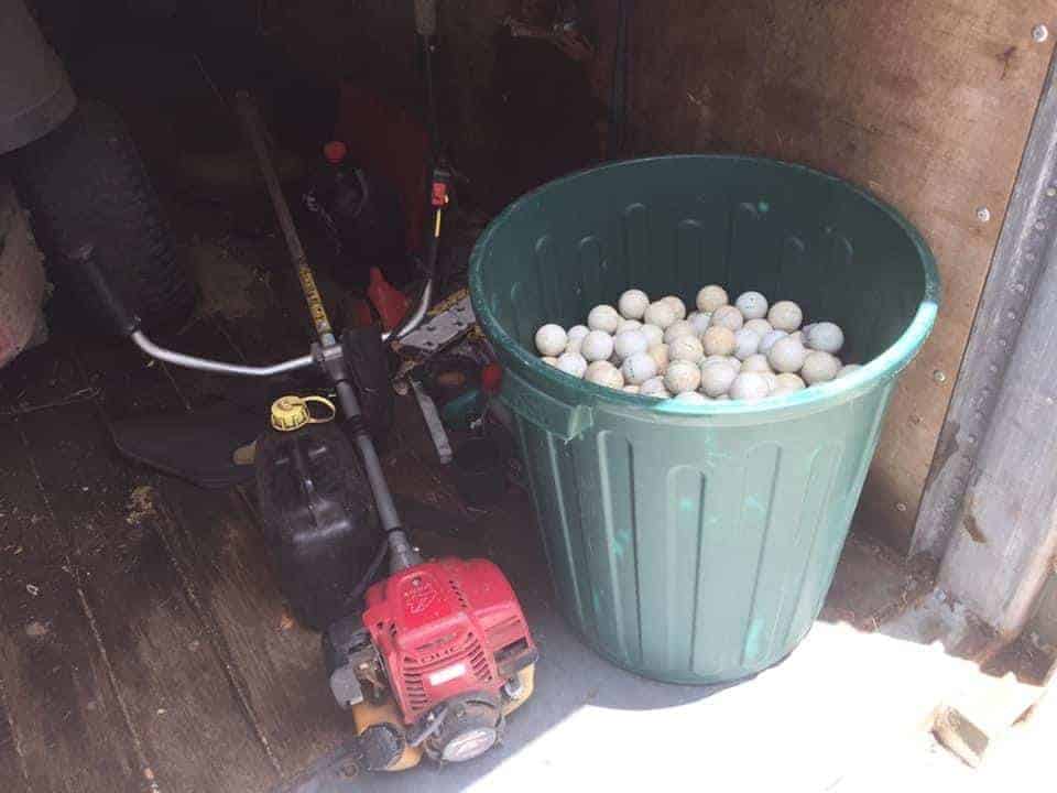 Golf ball bandit steals from driving range, hits soccer fields - MyCity ...