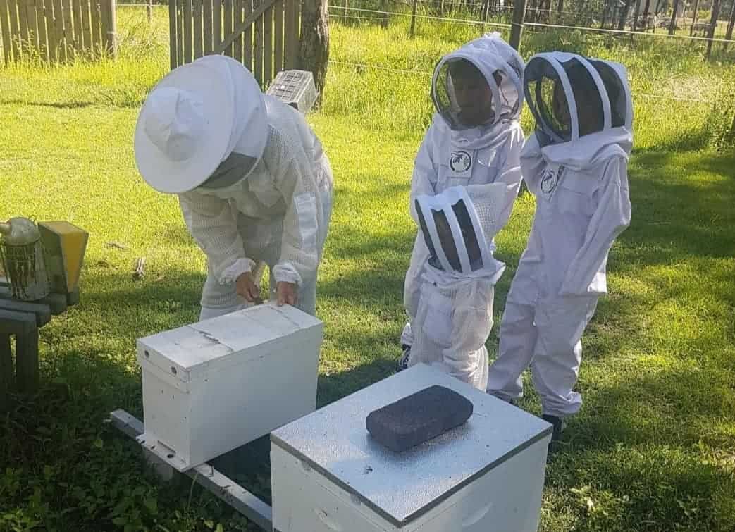 Queen Bees – mother-and-daughter beekeeping duo - MyCity Logan